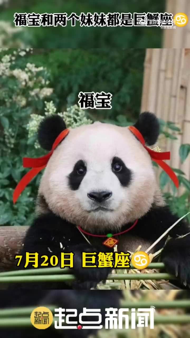 西安人被正式确诊为沈眉庄 市民:到处都是游客,想窝在家里手机新浪网